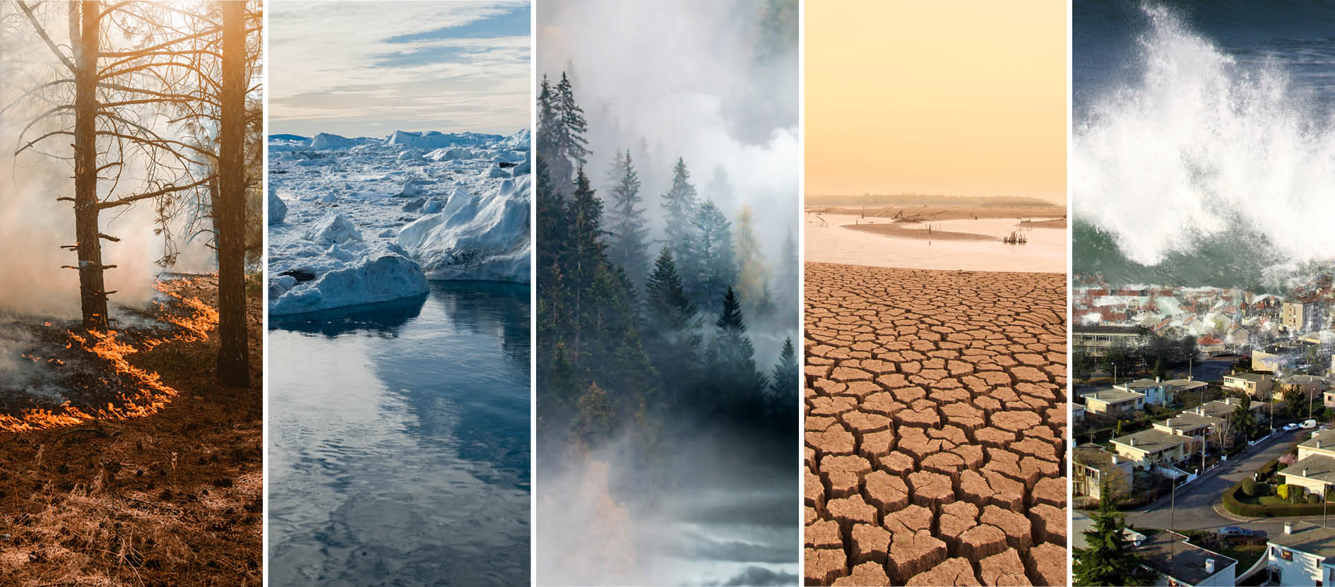 DT Global and DT Institute Present: USAID Climate Change Strategy ...